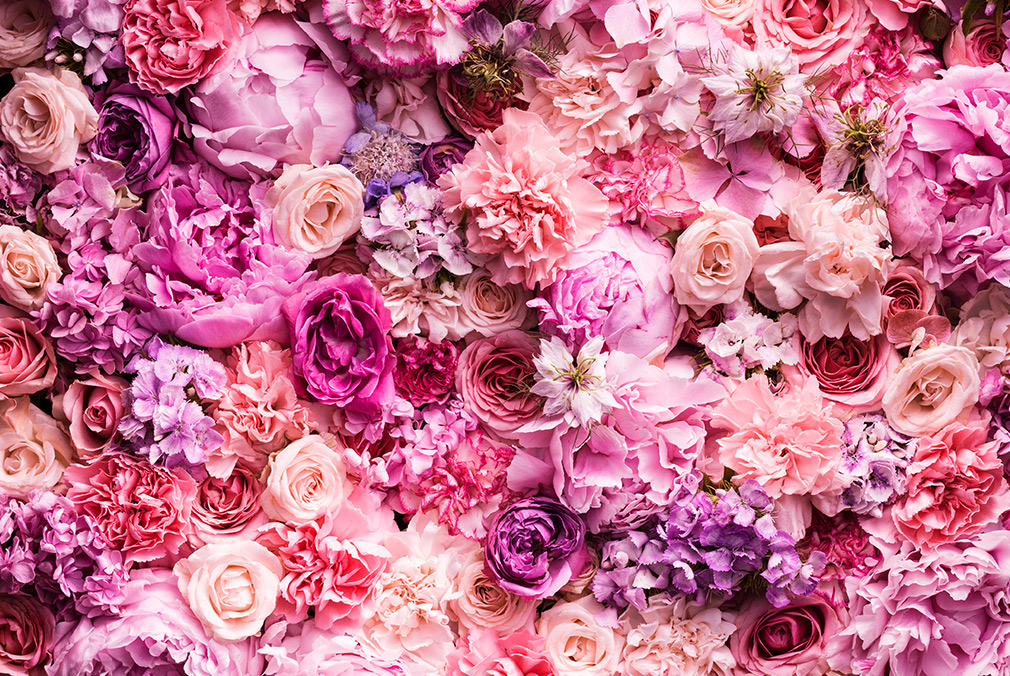 Fleur’s - Trouver votre spa